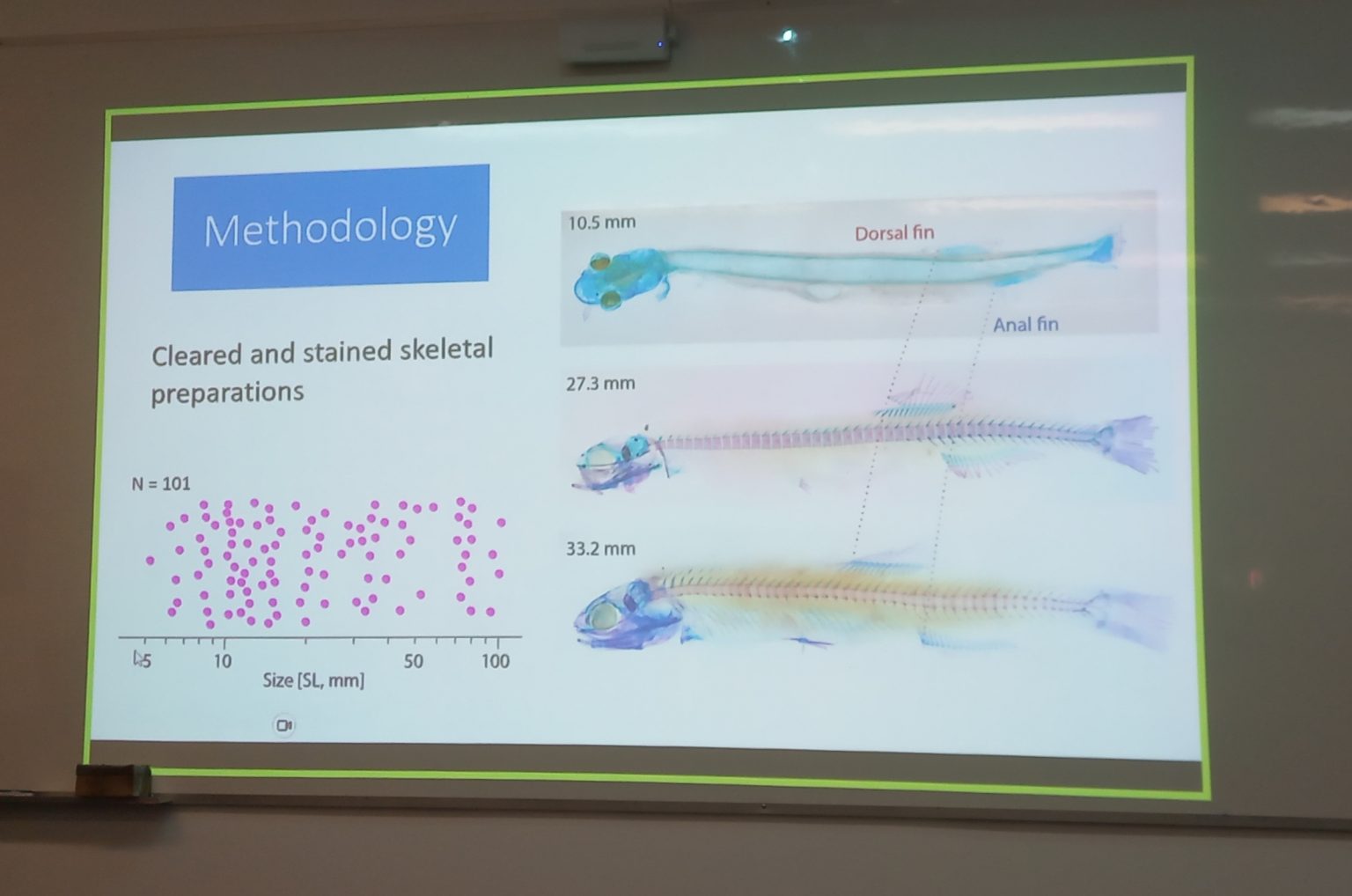 Entregan primeros resultados de la variación del morfoespacio de larvas ...
